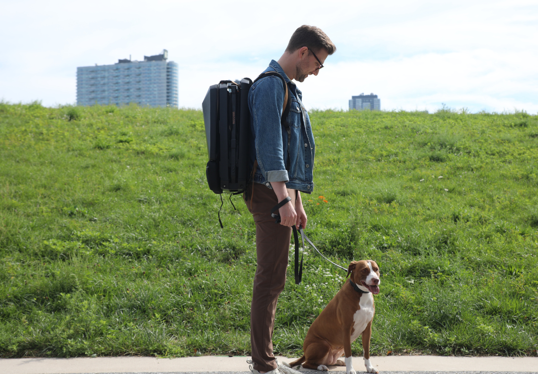 Unleashing Style and Safety: A Guide to Dog Leashes – WAGGIN